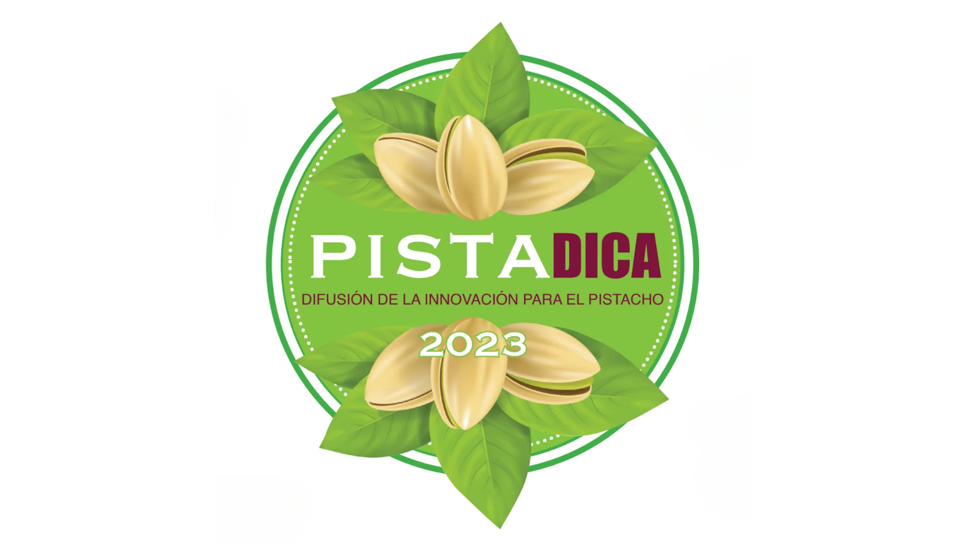 Maseto Technologies at the first edition of Pistadica